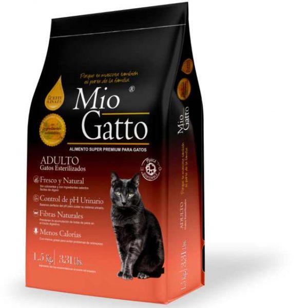 MIOGATTO - Allju.pe