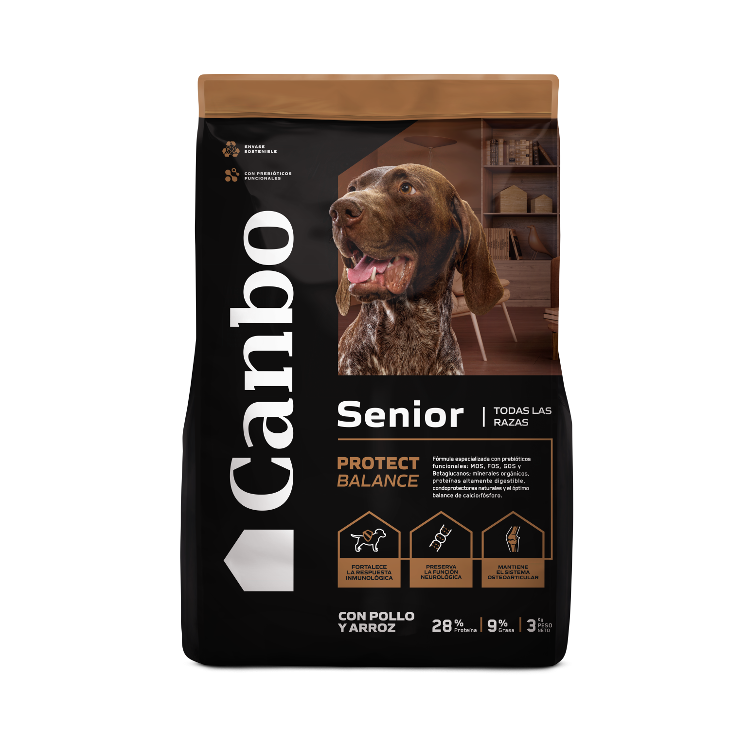 CANBO PERROS - ️ Cachorros, Adultos, Precios.【PREMIUM】