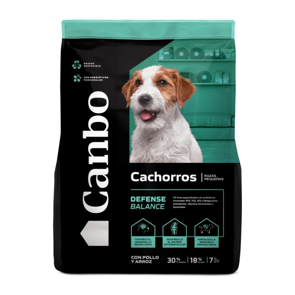 CANBO PERROS - ️ Cachorros, Adultos, Precios.【PREMIUM】